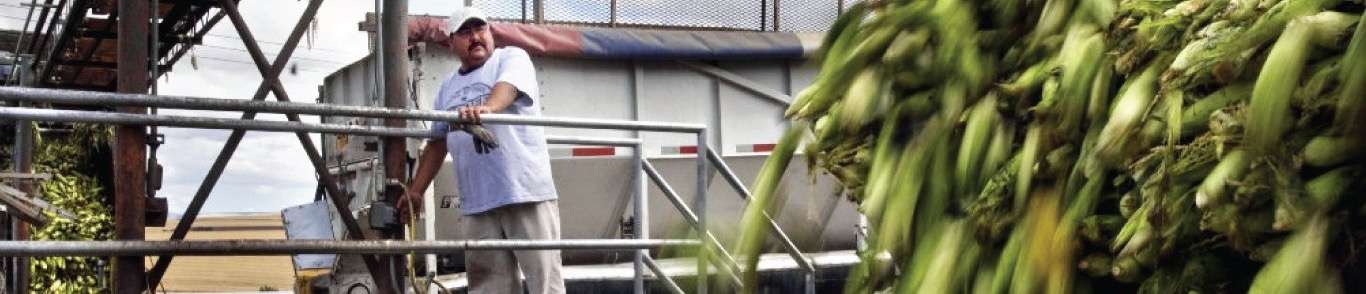 Custom Agricultural Processing Systems - Control System Automation